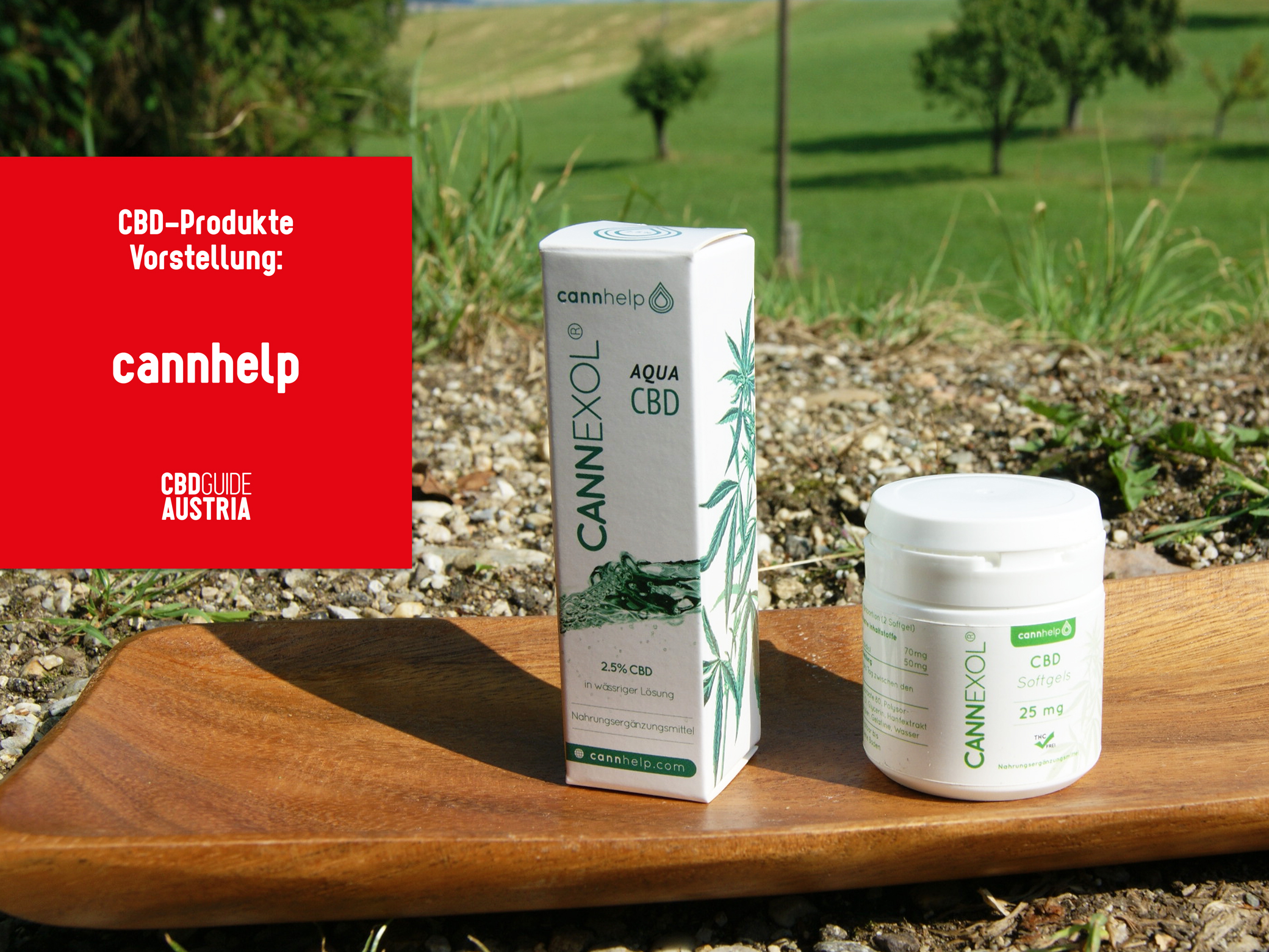 Vorstellung neue Produkte von Cannhelp - CBD Guide Austria