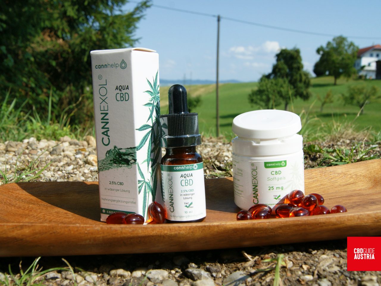 Vorstellung neue Produkte von Cannhelp - CBD Guide Austria